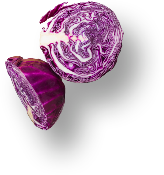 Capital Agro - Capital Agro